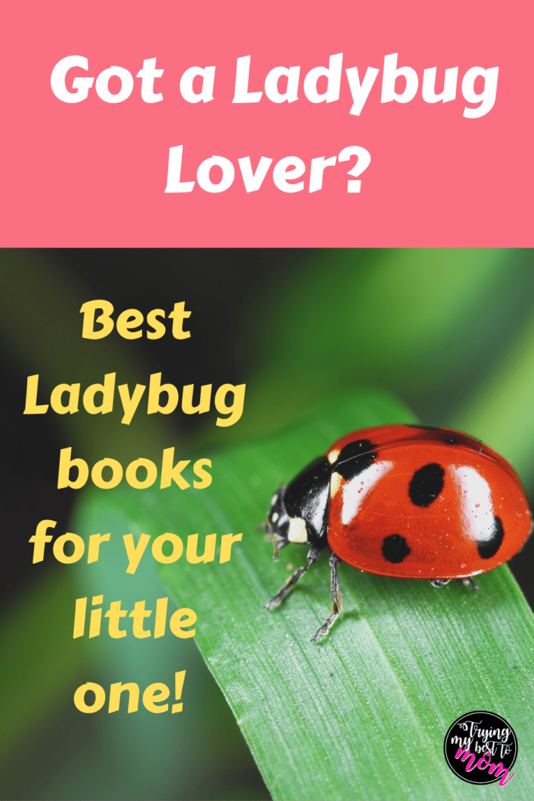 Best Baby Ladybug Books - Trying My Best To Mom