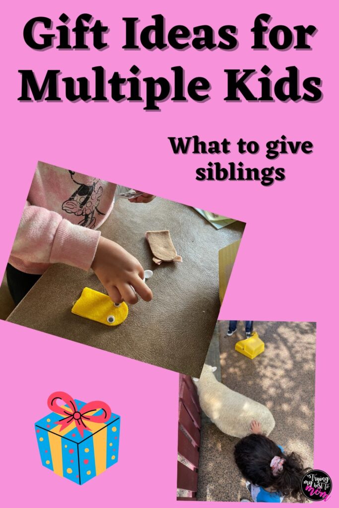 Good Gifts for Multiple Children and Sibling Groups - Trying My Best To Mom